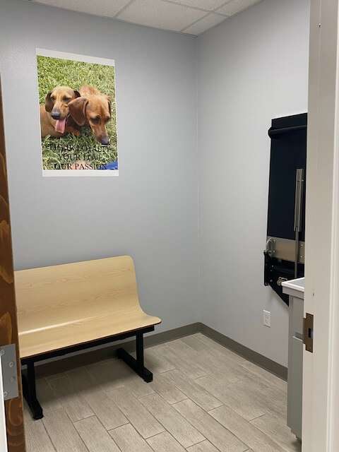Virtual Clinic Tour | McAllen Urgent Vet