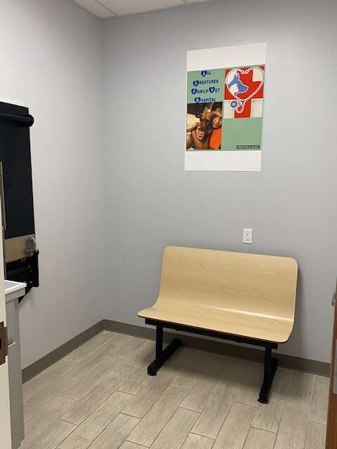 Virtual Clinic Tour | McAllen Urgent Vet